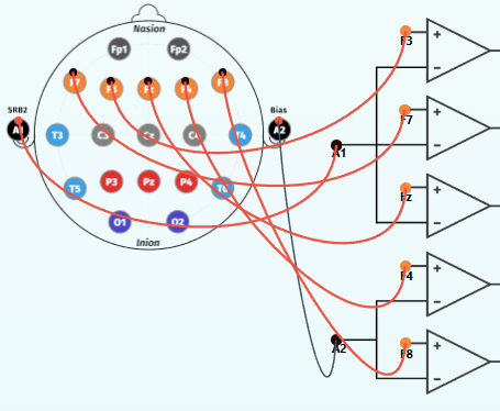 Virtual Labs