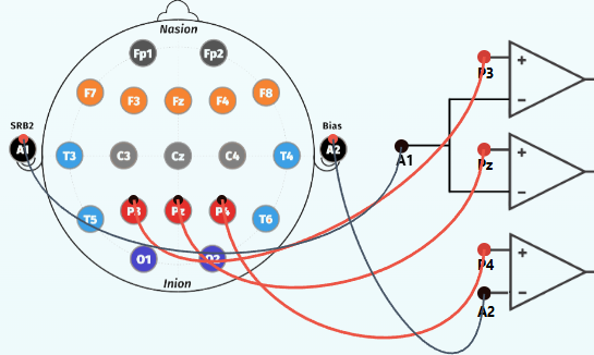 Virtual Labs
